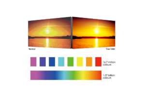 10 bit gradient (1200x800) - BZB Express Learning Hub